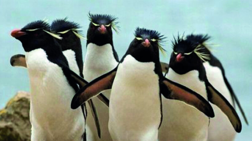 Art Goss - workspacebrussels